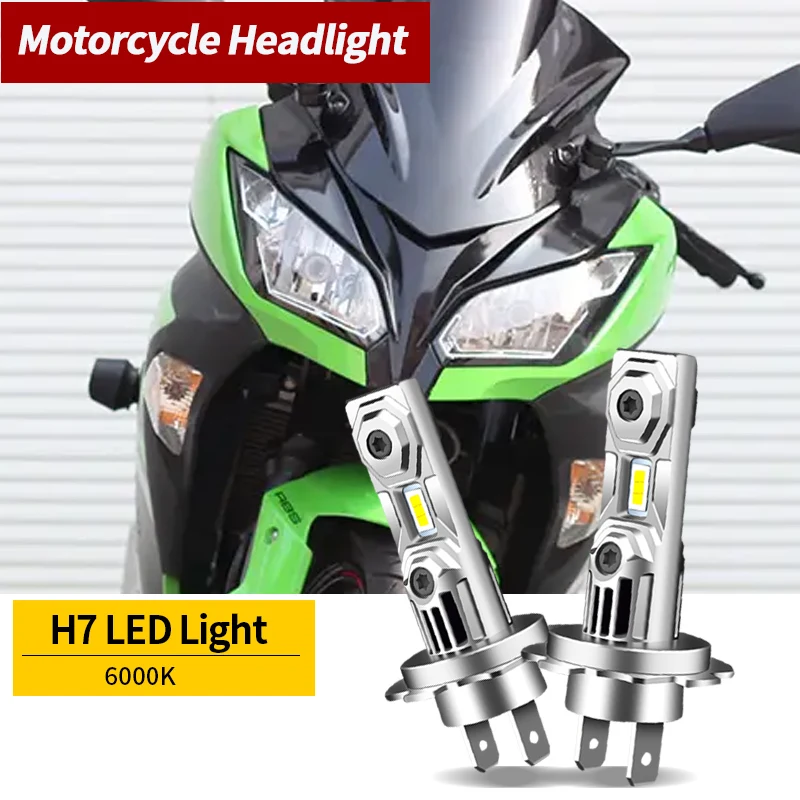 Black Ninja 250 2006 Bulb