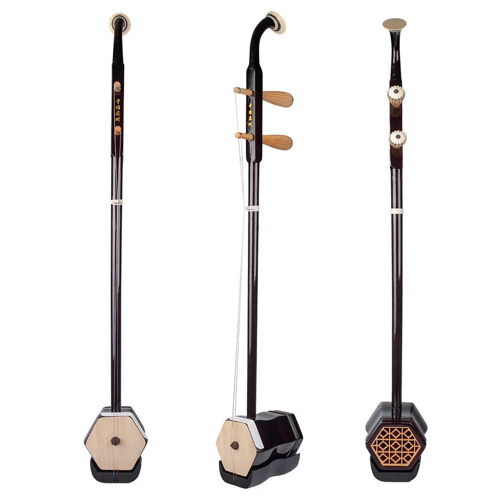 A Korean Two String Vertical Fiddle | ppgbbe.intranet.biologia.ufrj.br