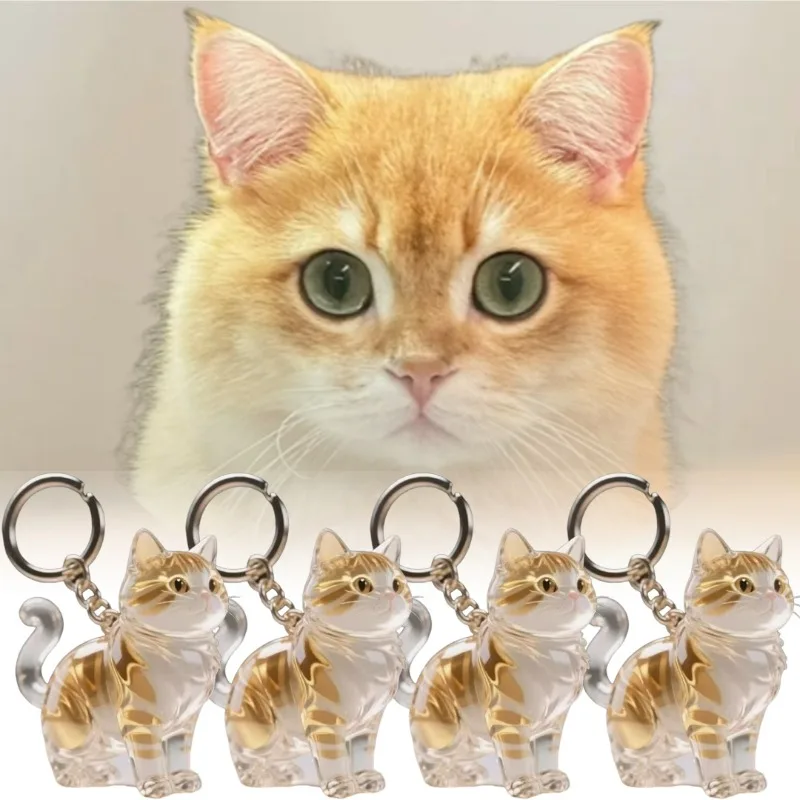 Pet Hair Keepsake Keychain Transparent Cat Memorial Locket for Cat ...