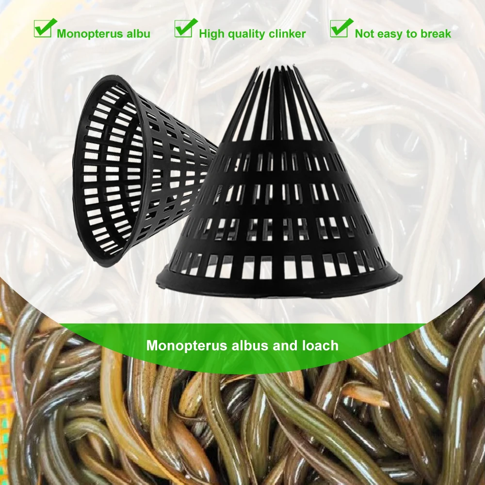 Store Home Products Summer Sale Feedback