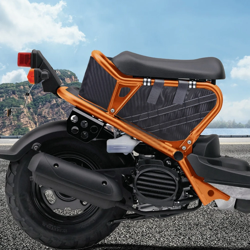Ruckus-Zoomer-NPS50-2010-2021.jpg