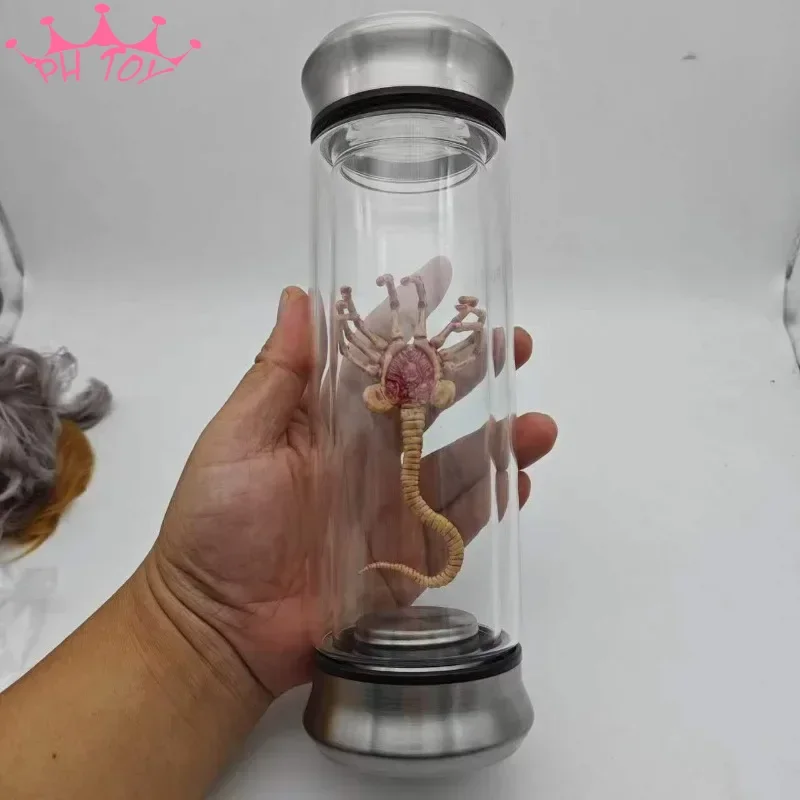 1-6-Scale-Alien-Facehugger-Chestburster-Predator-in-Glass-Bottle-Scene ...