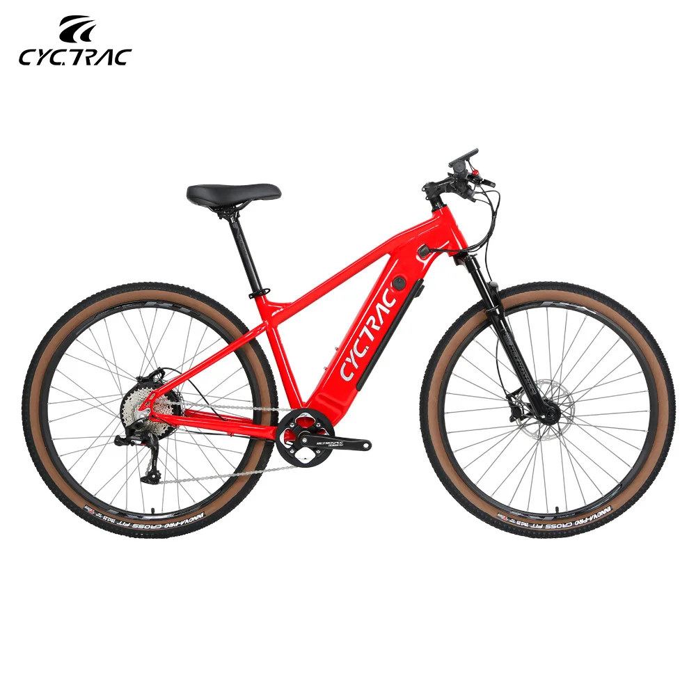 Motorized Bicycle 10 Speed