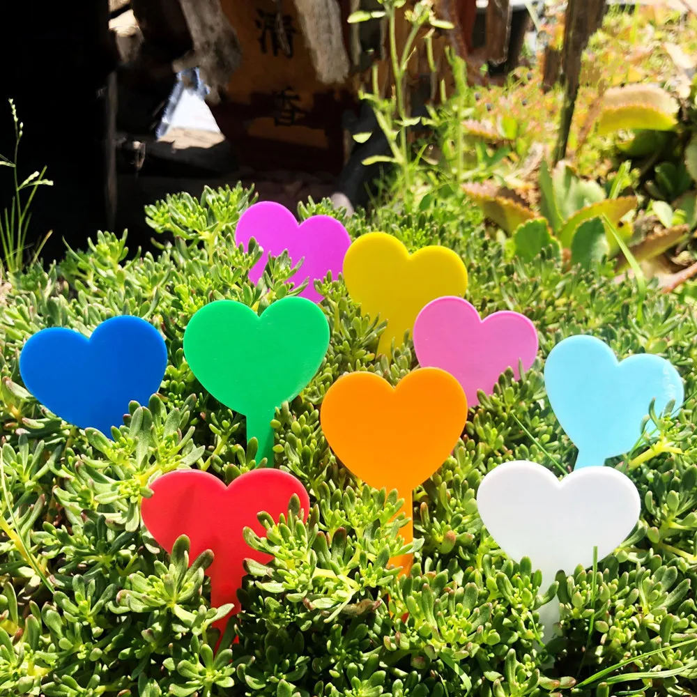 100-PCS-Garden-Labels-Plant-Classification-Tags-Label-Cards-Waterproof ...