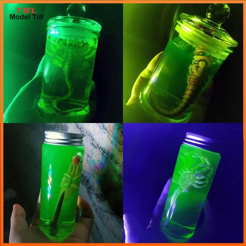 1-6-scale-Alien-Jar-Xenomorph-Specimen-Facehugger-Embryo-model-Movie ...