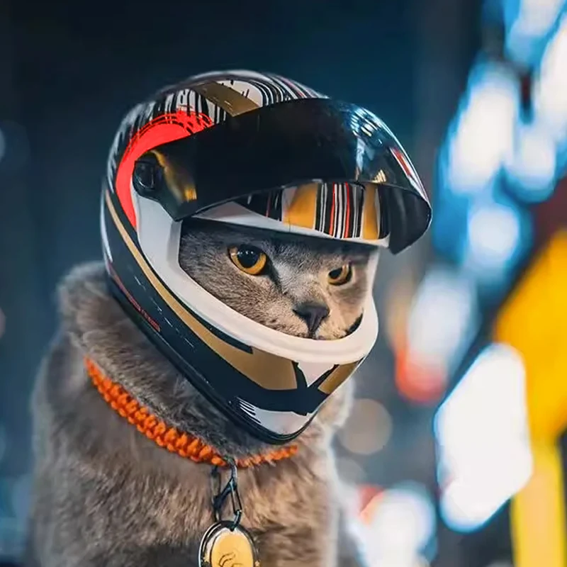 Small-Pet-Motorcycle-Helmet-Cute-Cat-Dog-Cap-Outdoor-Anti-Collision ...