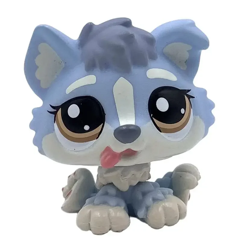 LPS-CAT-tienda-de-mascotas-Littlest-para-ni-os-juguetes-con-cabeza-de ...