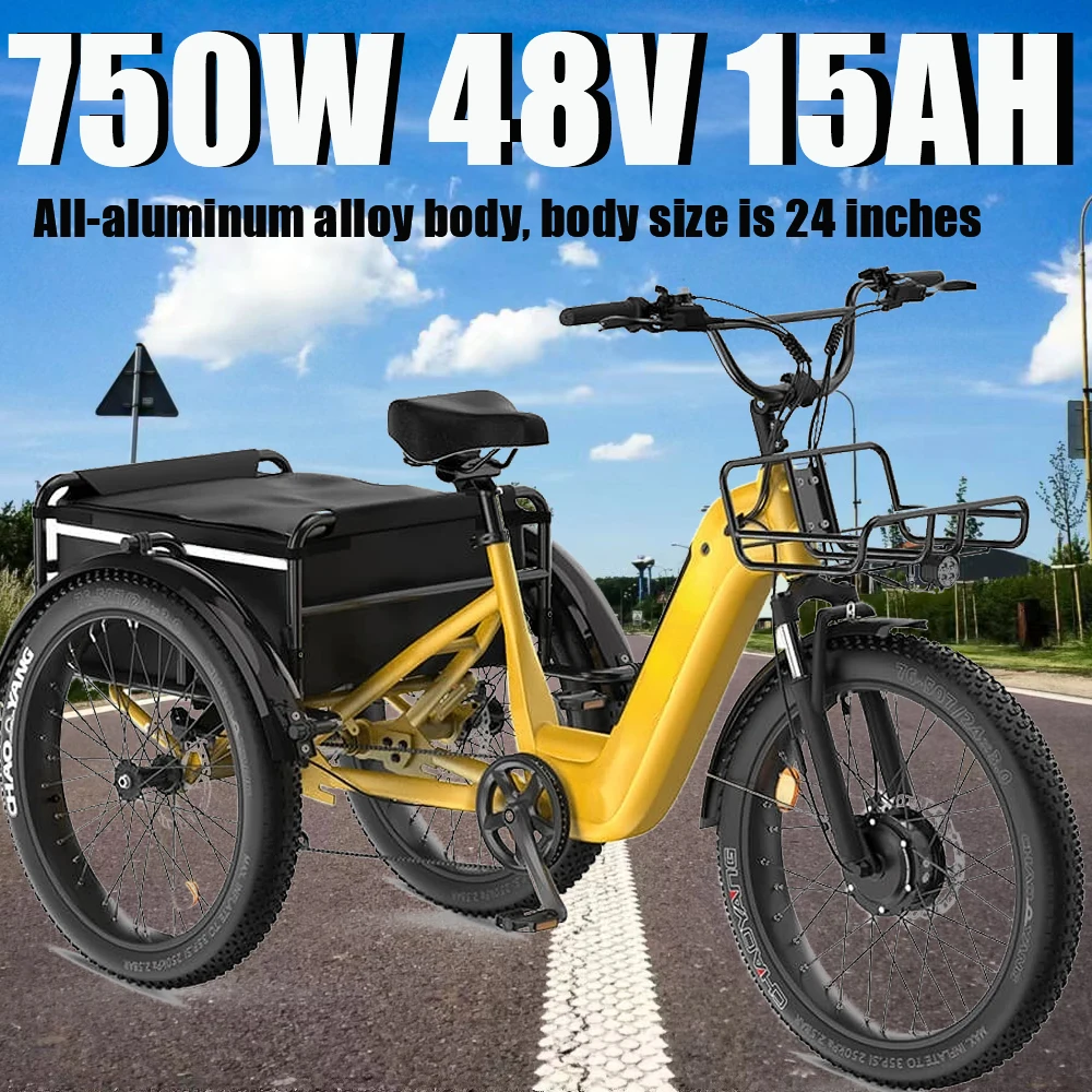 Powerful-cargo-Electric-tricycle-750W-Motor-48V15AH-Battery-210KG ...