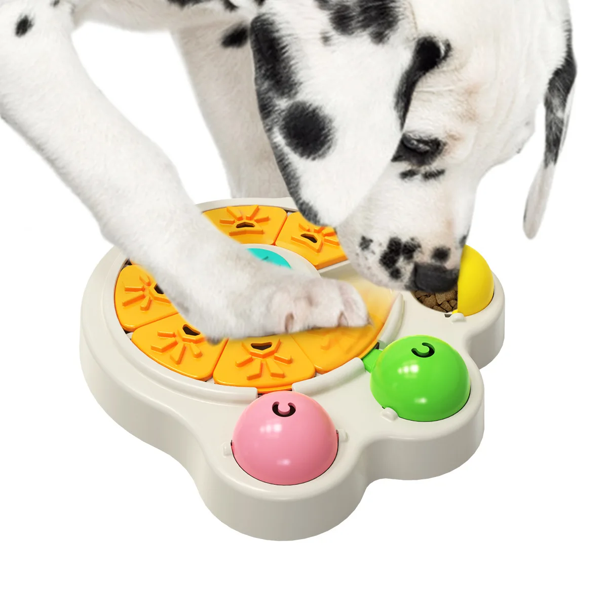 Educational toys for dogs store