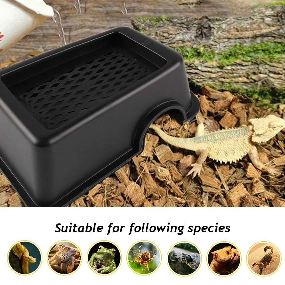 Hiding-Nest-Hide-Cave-Box-Gecko-Snake-Lizards-Spiders-Reptiles-Beetle ...