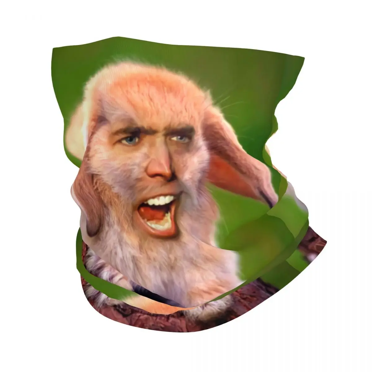 Nicolas Cage Rabbit