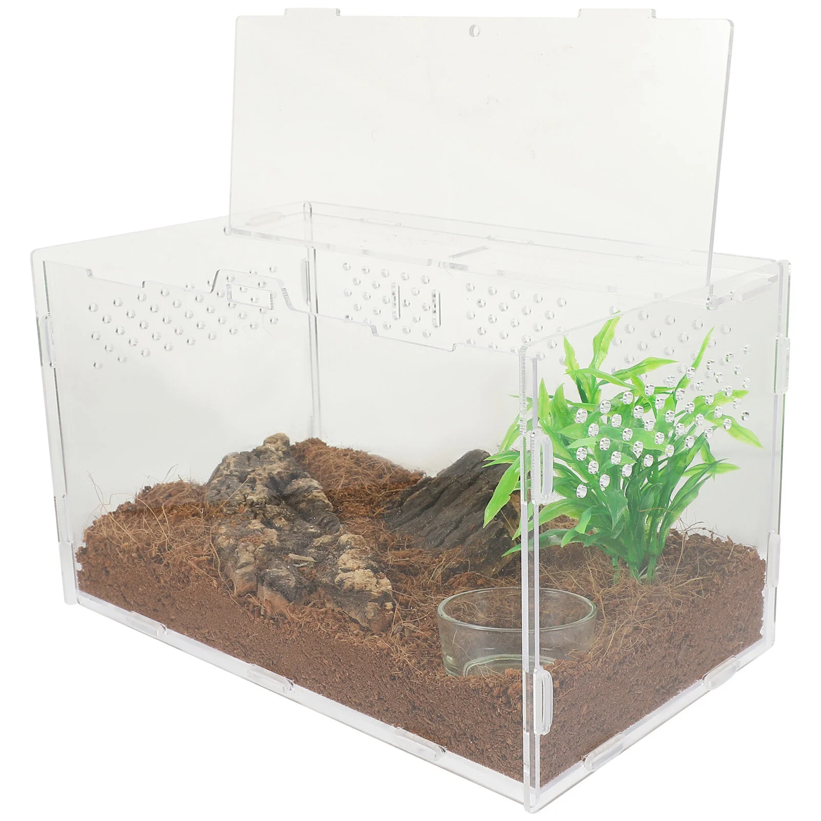Jumping-Spider-Frog-Tank-Reptile-Terrarium-Snake-Cage-Turtle-Cages ...