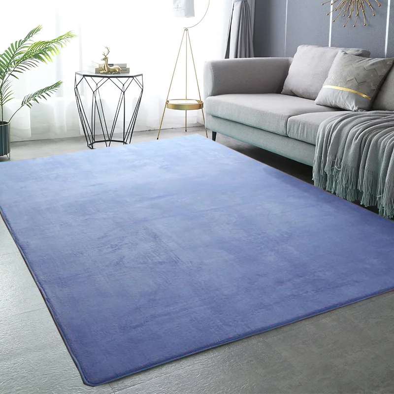 Coral Velvet Carpets For Modern Living Room Decoration Thick Short ...
