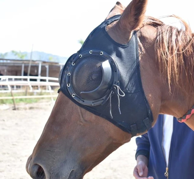 Horse Eye Blinders