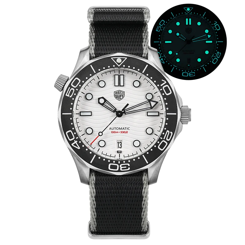 Watchdives WD007 Titanium "Seamaster NTTD " Homage Dive Watch Review ...