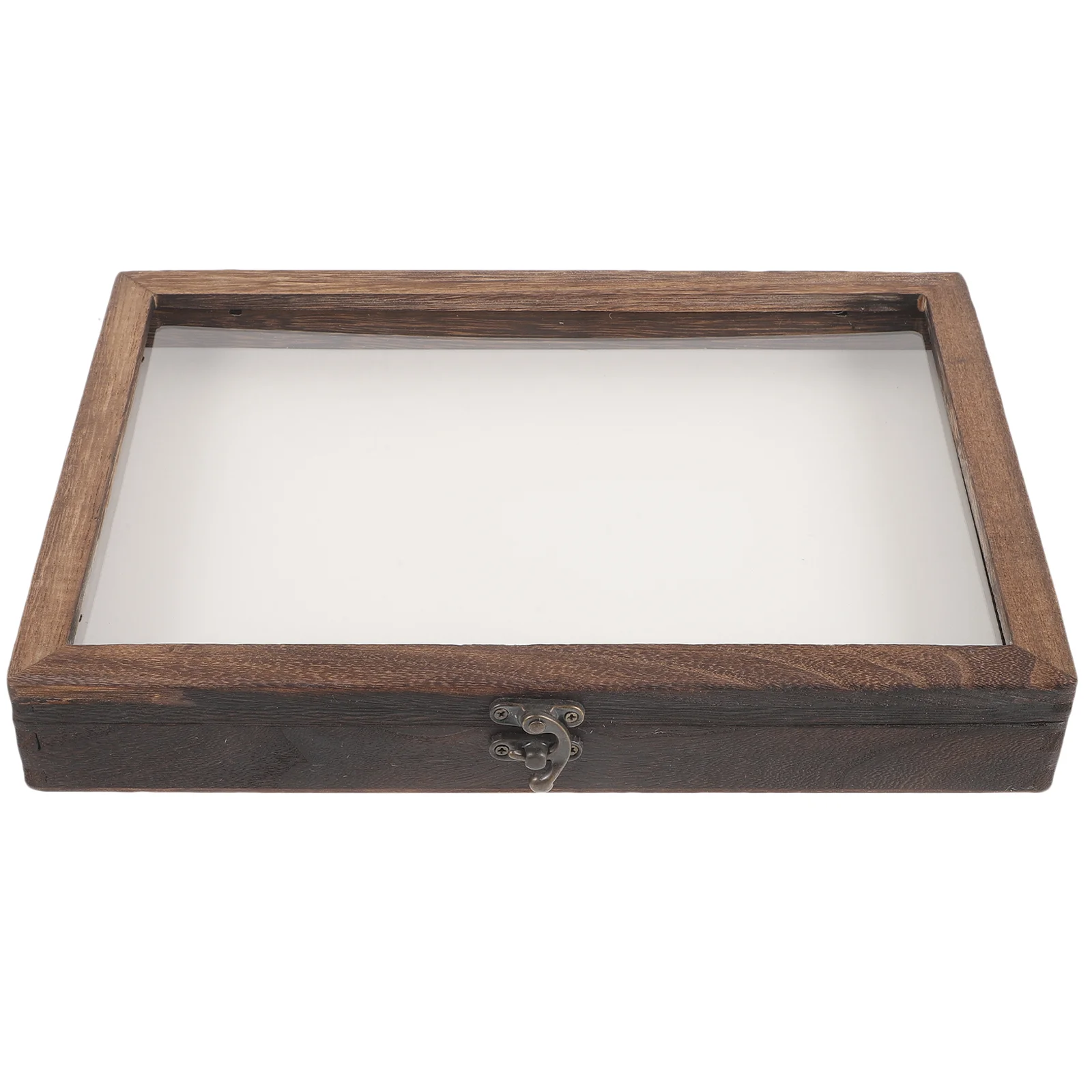 of-Insect-Display-Case-Wooden-Bug-Collection-Box-Insect-Display-Box ...