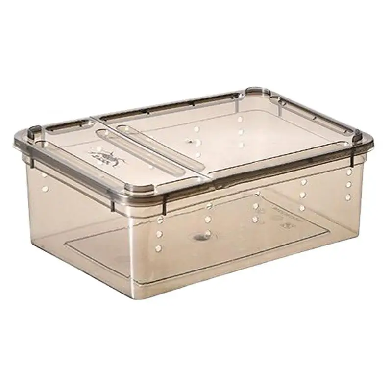 Breeding-Box-Reptile-Feeding-Boxes-Light-And-Transparent-Dust-proof ...