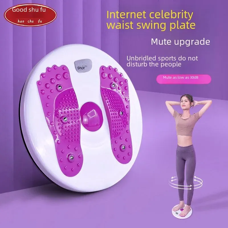 Multifunctional-Home-Use-Fitness-Waist-Rotator-Magnetic-Disk-Fat-Burner ...