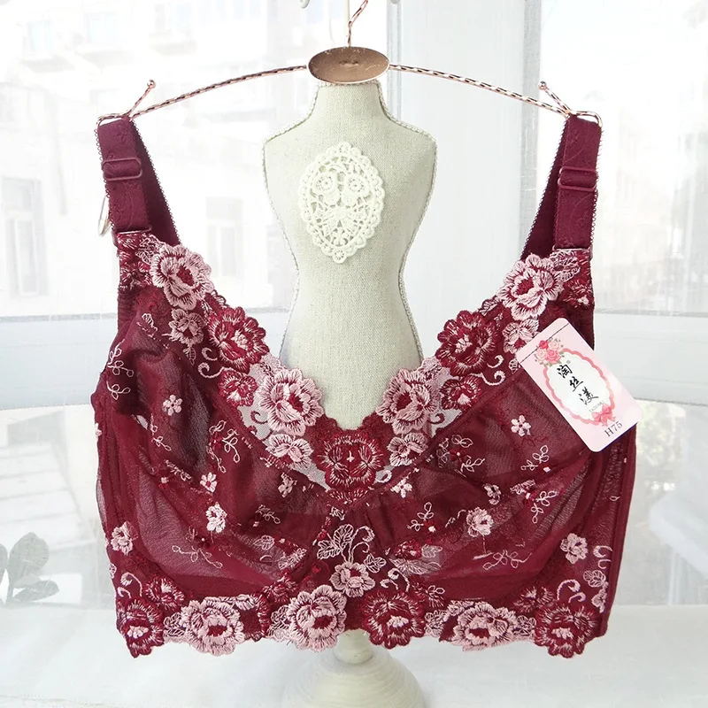 Women's Full Coverage Jacquard Non Padded Lace Sheer Underwire Plus ...