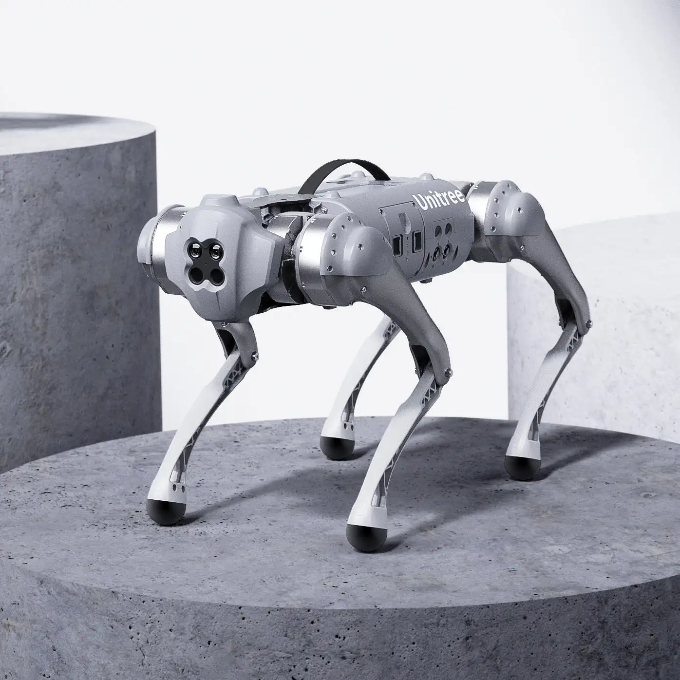 Unitree-Intelligence-Accompanied-By-Bionic-Quadruped-Robot-Go1-Robot ...