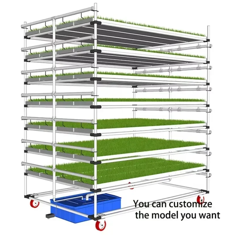 Greenhouse-Hydroponic-Microgreen-System-Hydroponic-Growing-System ...
