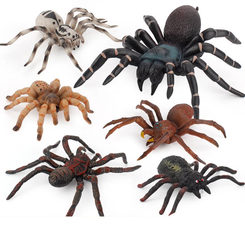 Simulation Animals Insect Solid Model Spider Tarantula Black Spider ...