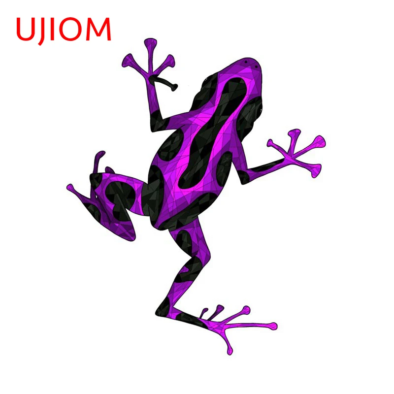 Purple Poison Arrow Frog
