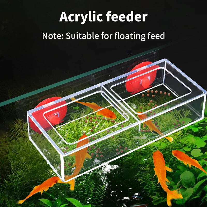 High-Quality-Rectangle-Transparent-Rimless-Aquariums-Feeder-High-Grade ...