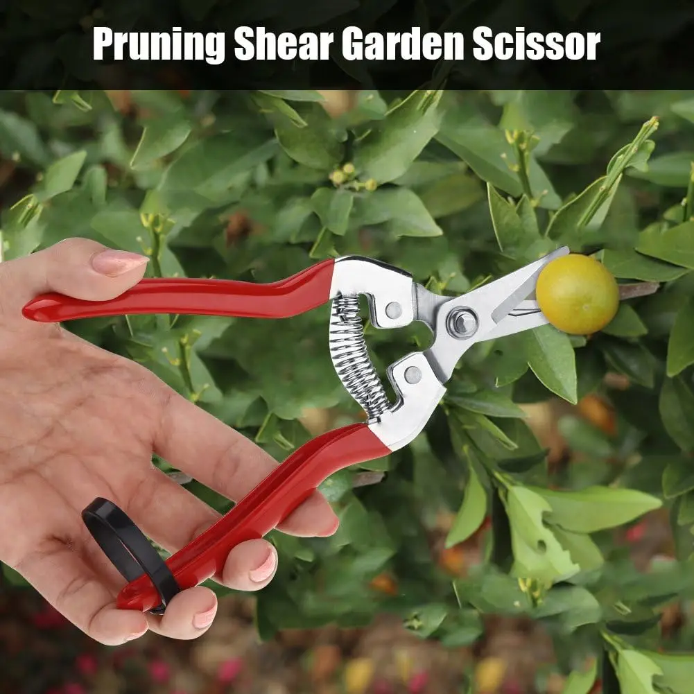 Stainless-steel-garden-hand-pruner-cut-grapes-cutter.jpg