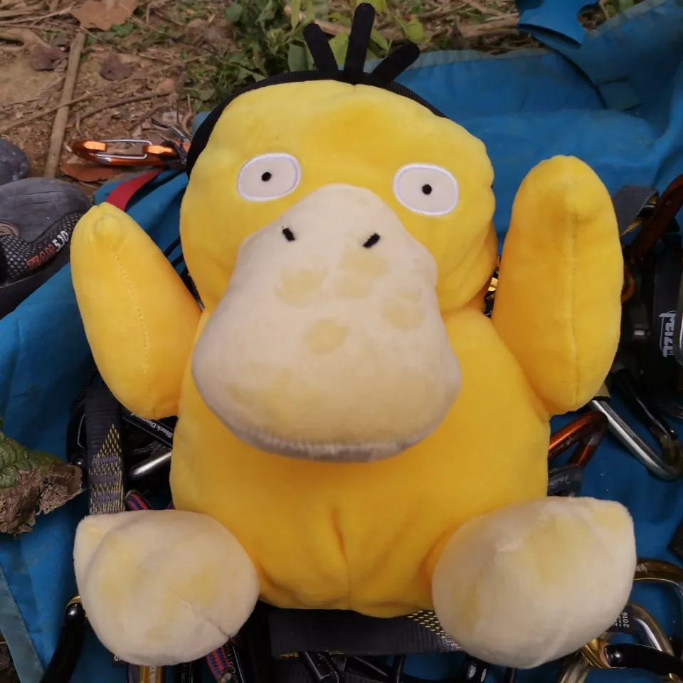 Psyduck Chalk Bag for Climbing Rock Magnesium Powder Bag for Climbing ...