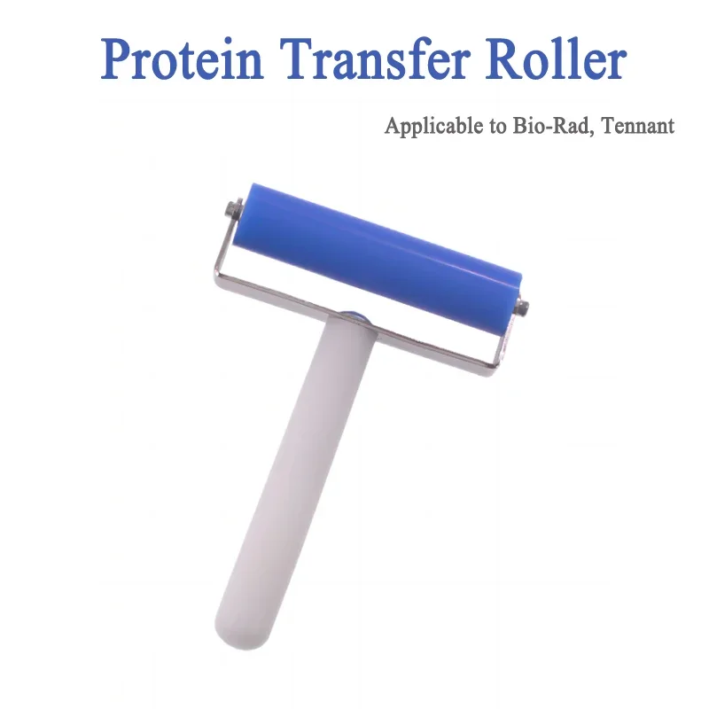 Western-Blot-Protein-Roller-for-Membrane-Transfer-Laminating-Assistant ...
