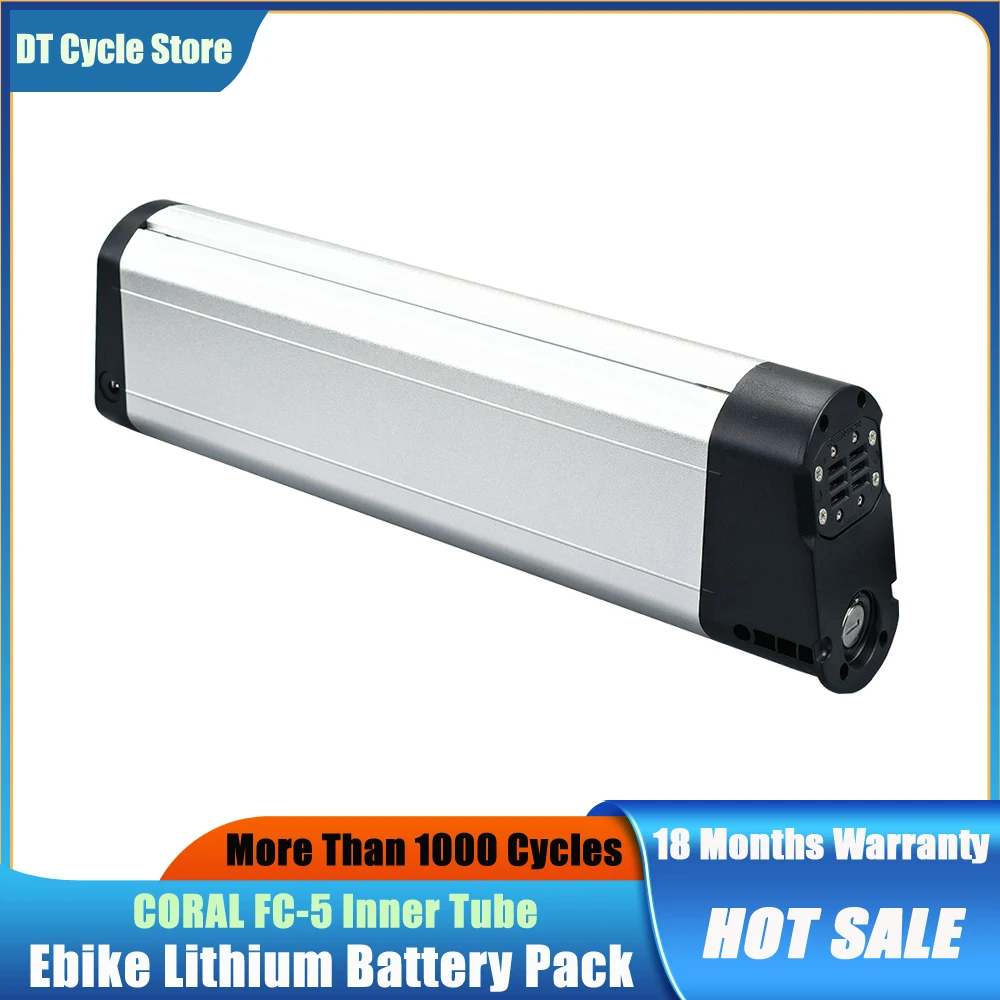 CORAL-Replacement-48V-10Ah-14Ah-672Wh-Lithium-Battery-Pack-for-HIMO ...