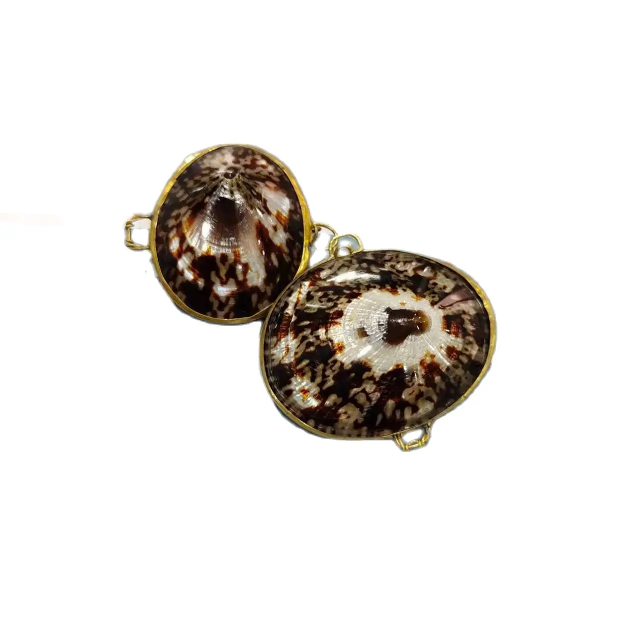 1PCS-Oval-Conch-Shell-Box-Natural-Black-Mother-of-Pearl-Jewelry-Boxes-2 ...