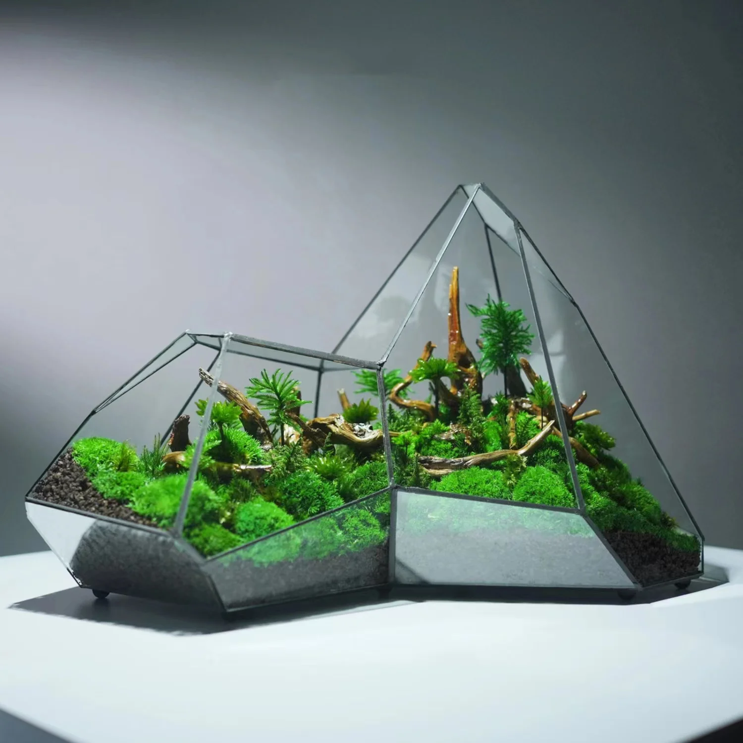 Micro-Landscape-Planter-Moss-Rainforest-Tank-Geometric-Glass-Flower ...