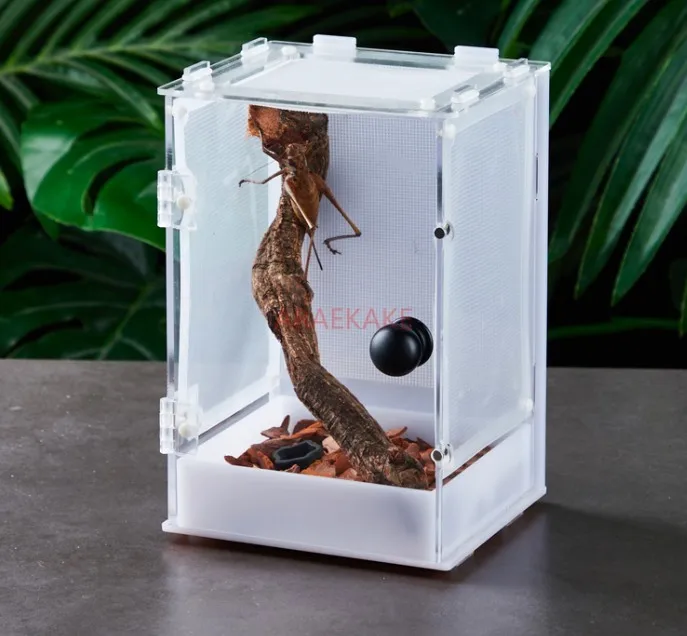 High-end-ecological-breeding-box-for-chirping-insects-landscaping-villa ...