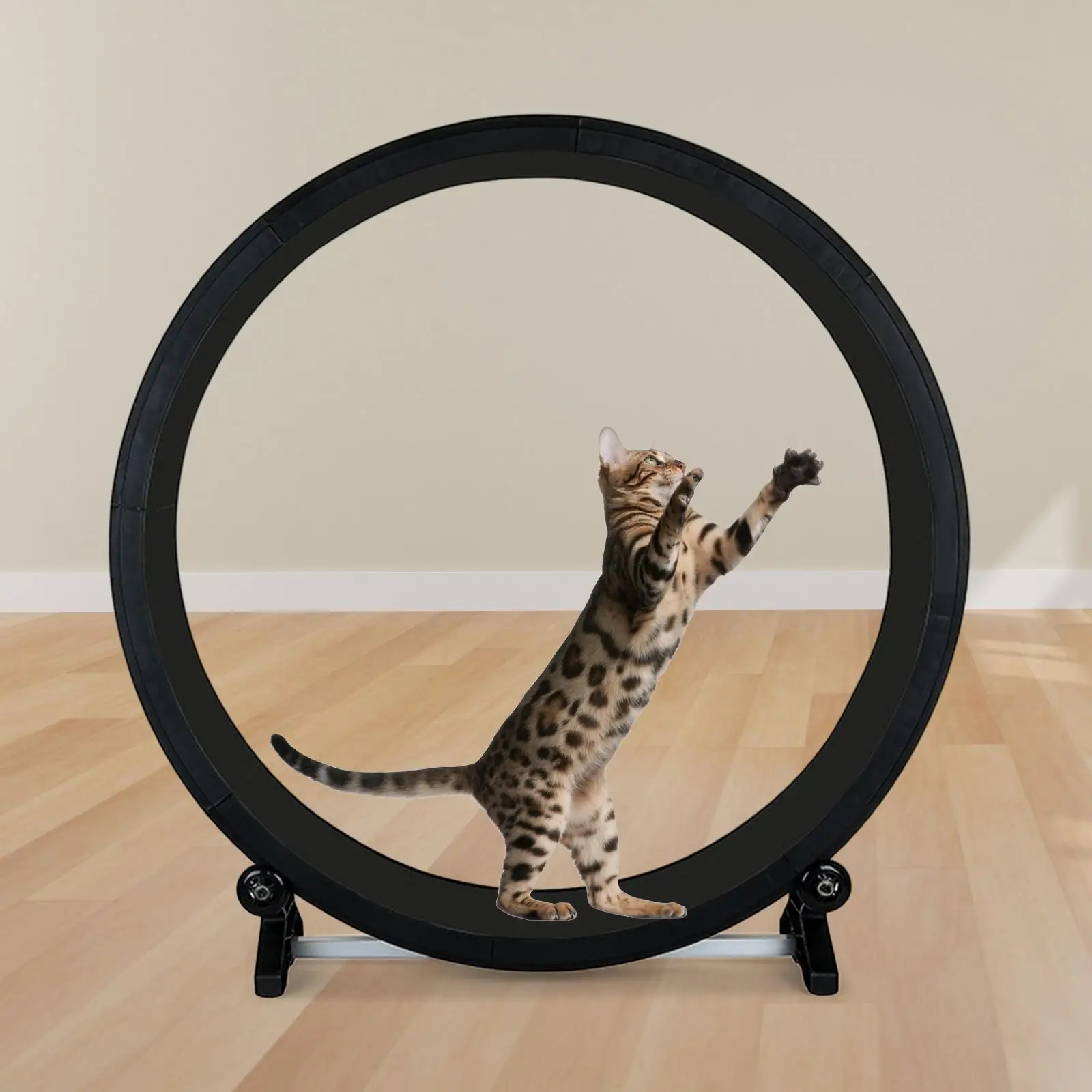 Pet Cat Running Wheel Grab Crawling Shelf Wheel Exercise Wheel ...