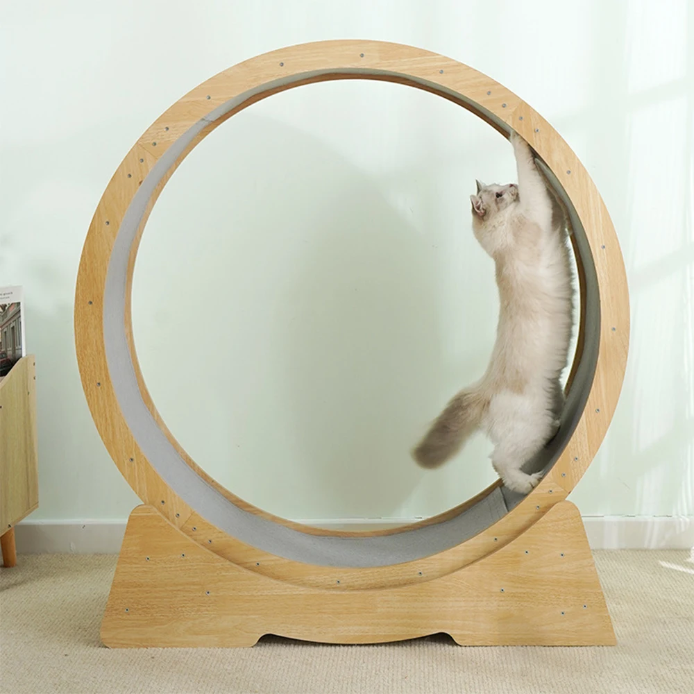 110cm-Cat-Exercise-Wheel-Treadmill-with-Carpets-Runway-Sport-Toy ...