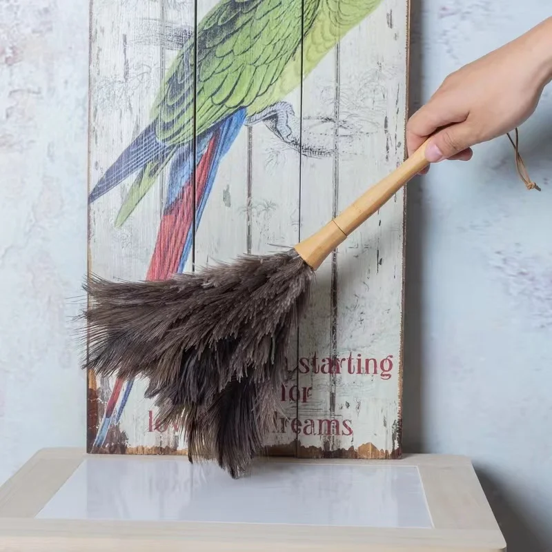 Feather Dusting Painting