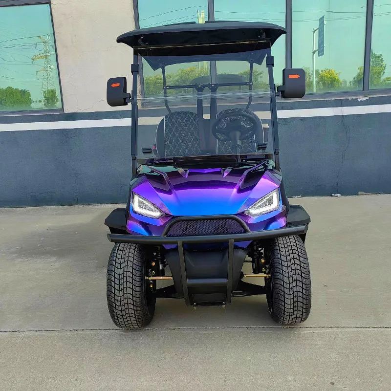 Mini-coche-tur-stico-esc-nico-cl-sico-de-lujo-carrito-de-Golf-el-ctrico ...