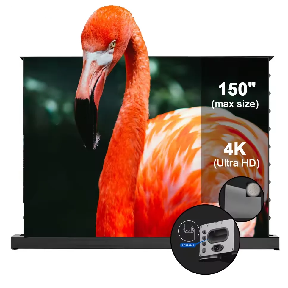 ALR-Gray-Crystal-Floor-Rising-Projection-Screen-72-150inch-Motorized ...