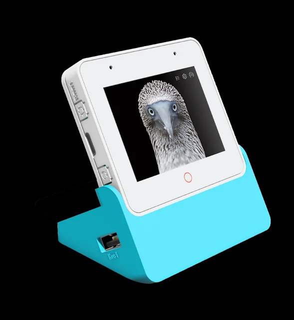 Store Home Products Feedback