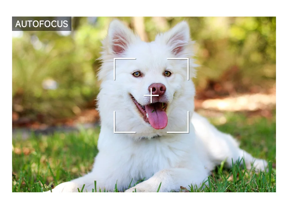 Raspberry Pi 12MP Camera Module V3 SONY IMX708 - Pixel Electric Company ...