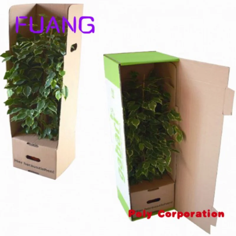 Custom-Wholesale-China-Custom-Paper-Cardboard-Long-Live-Plant-Packaging ...