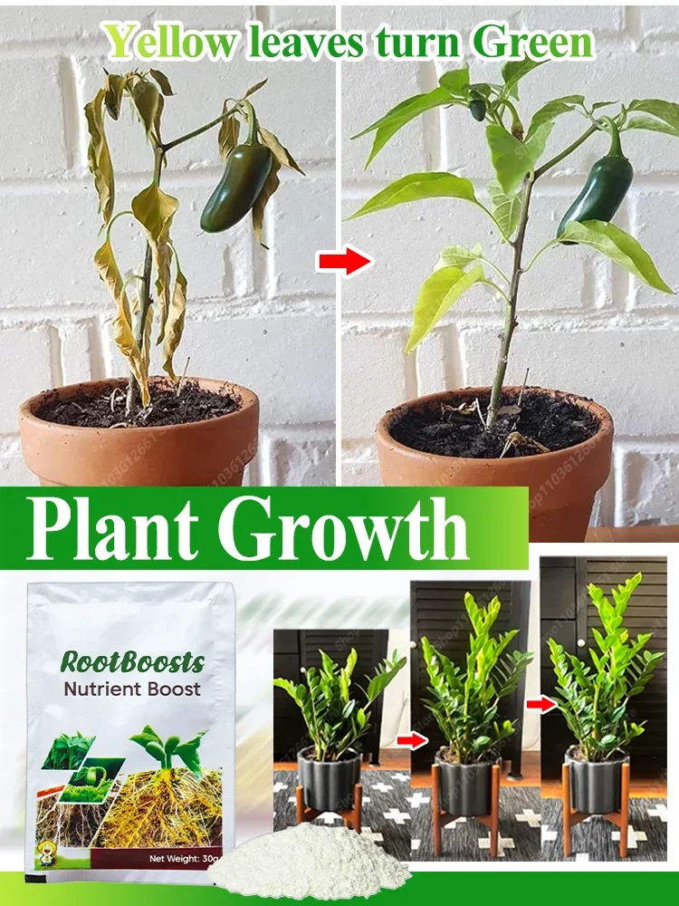 Plant-Nutrition-Powder-Plant-Nutrients-Rapid-Seed-Development ...