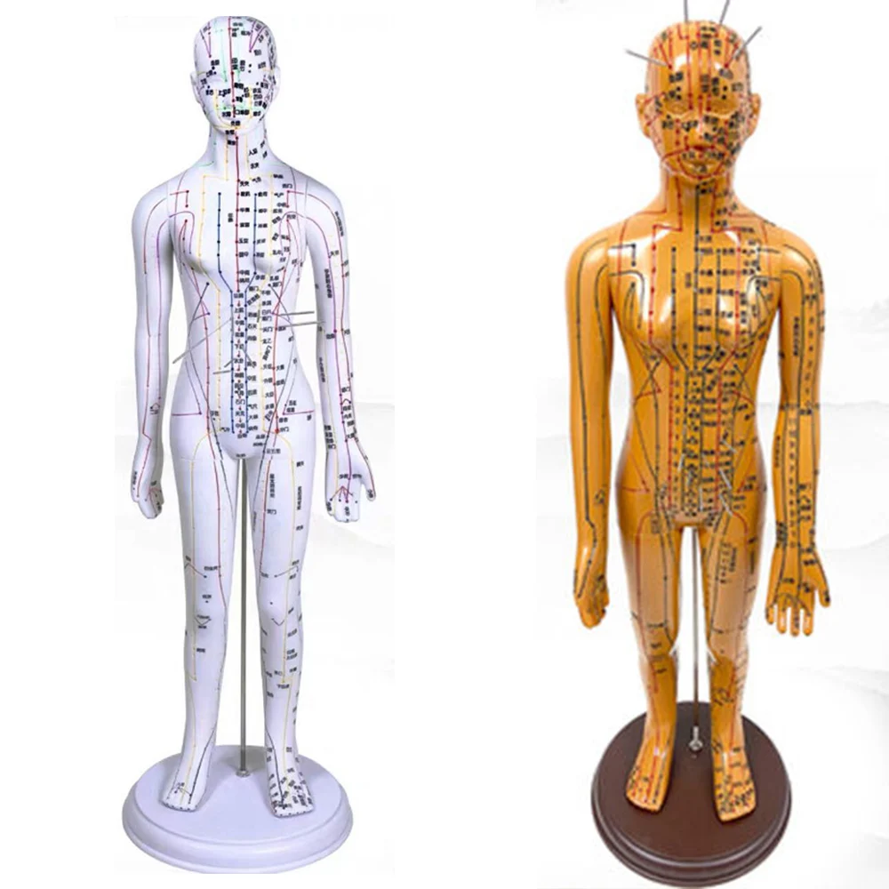 Medical-Chinese-Medicine-Meridians-Acupuncture-Moxibustion-52cm-Model ...