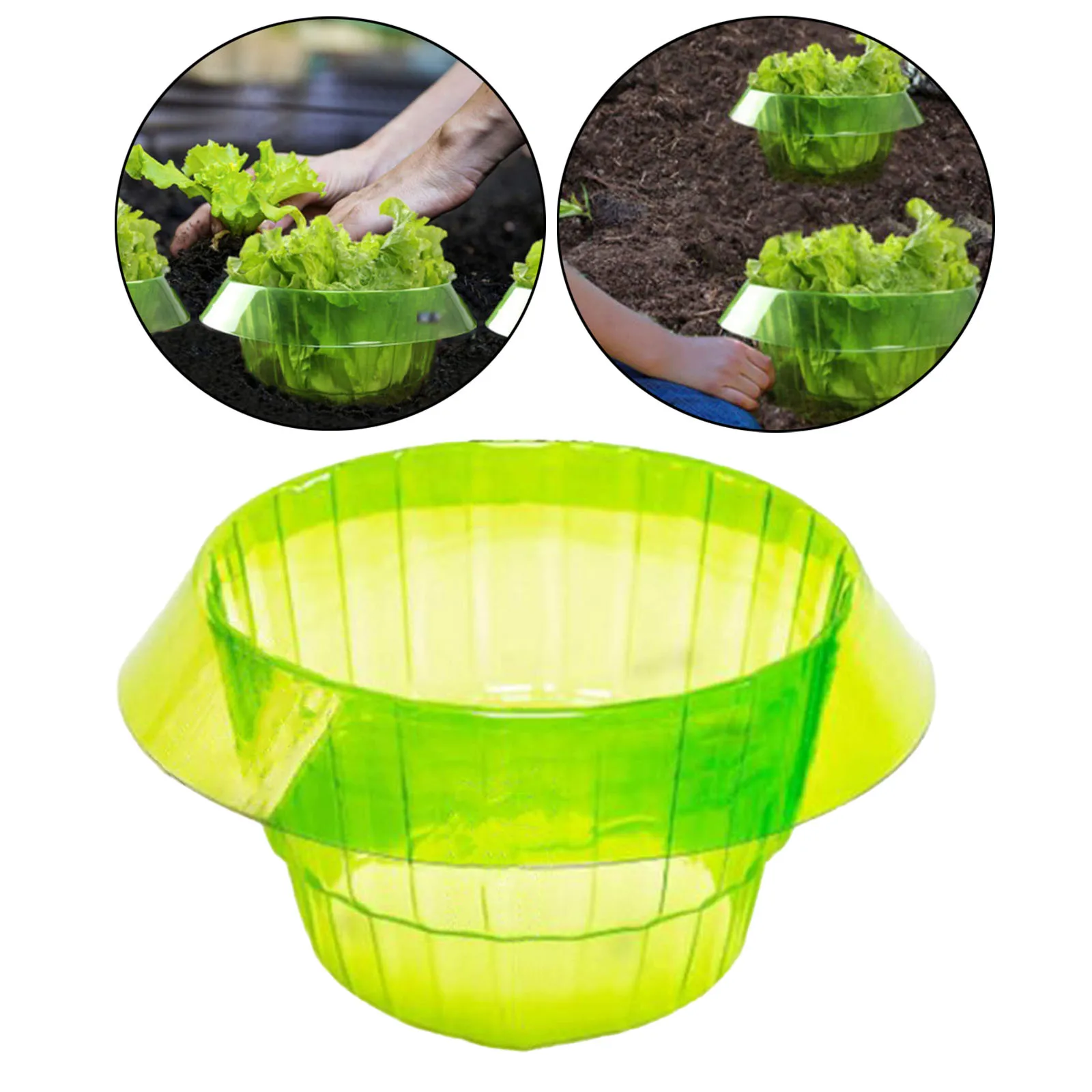Slug-Snail-Plant-Protection-Collar-Plant-Guard-for-Landscape-Project ...