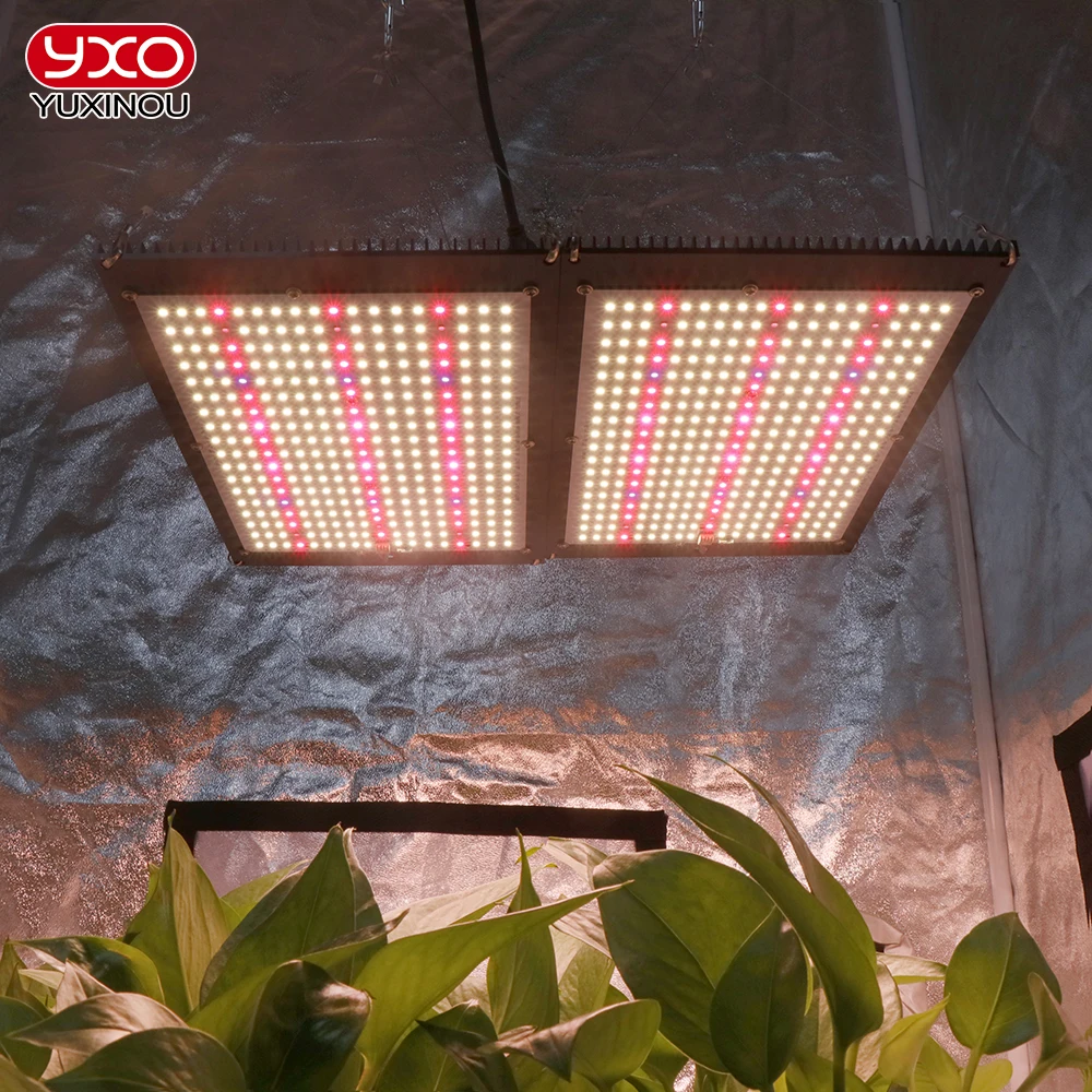 Samsumg-Lm301h-EVO-Quantum-120W-240W-LED-Grow-Light-Full-Spectrum-Phyto ...