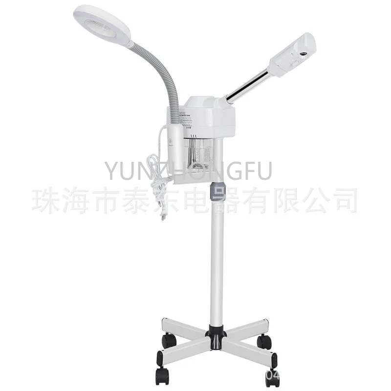 Single-Hot-Face-Steamer-Hot-Spray-Smoked-Face-Instrument-Taidong-2-in-1 ...