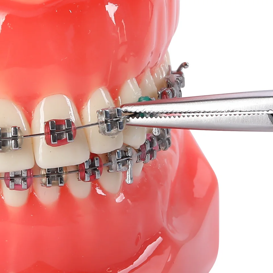 Ligature Ties 1000pcs Dental Orthodontic Elastic - For Braces Brackets ...