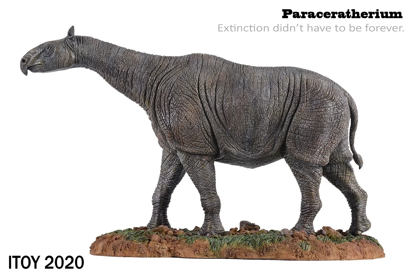 ITOY Paraceratherium 1：35 Prehistoric Dinosaurs Animals Toy Collection Model